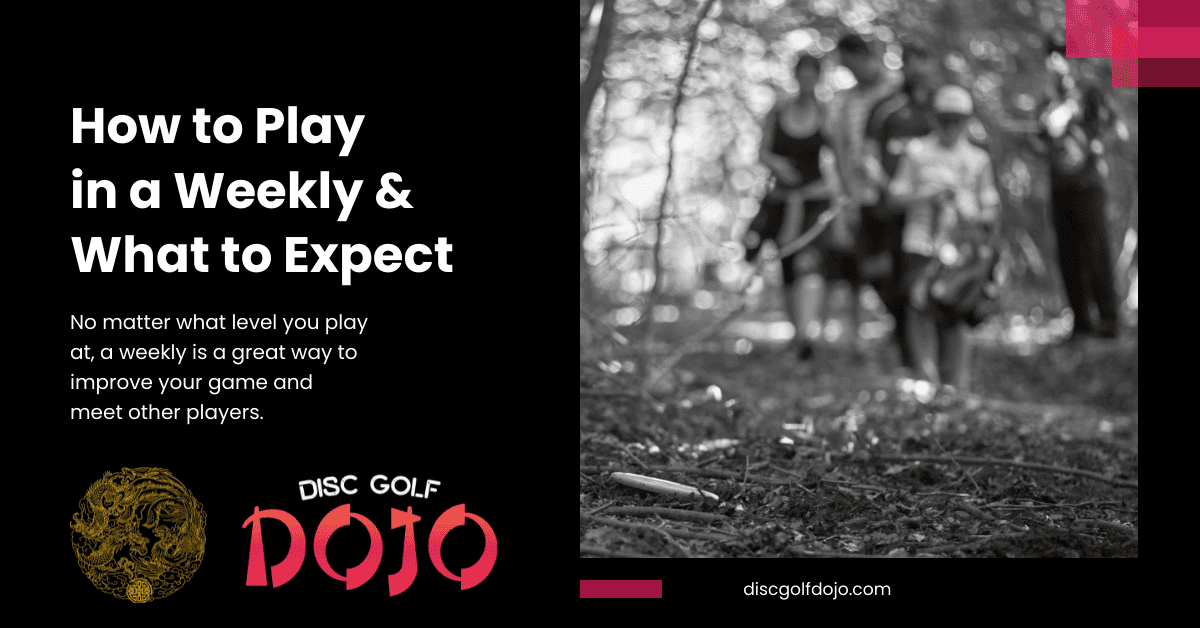 How to Play in a "Disc Golf Weekly" and What to Expect - Tips Blog ...
